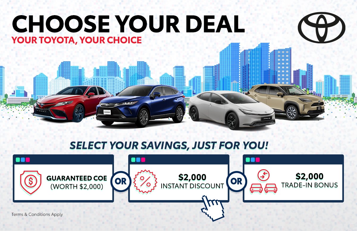 toyota_flexipromo_2024